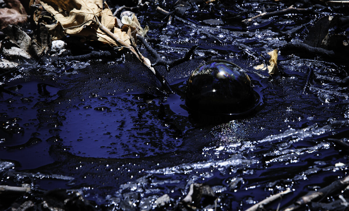 La Brea Tar Pits Archives - FORDSFOTOS